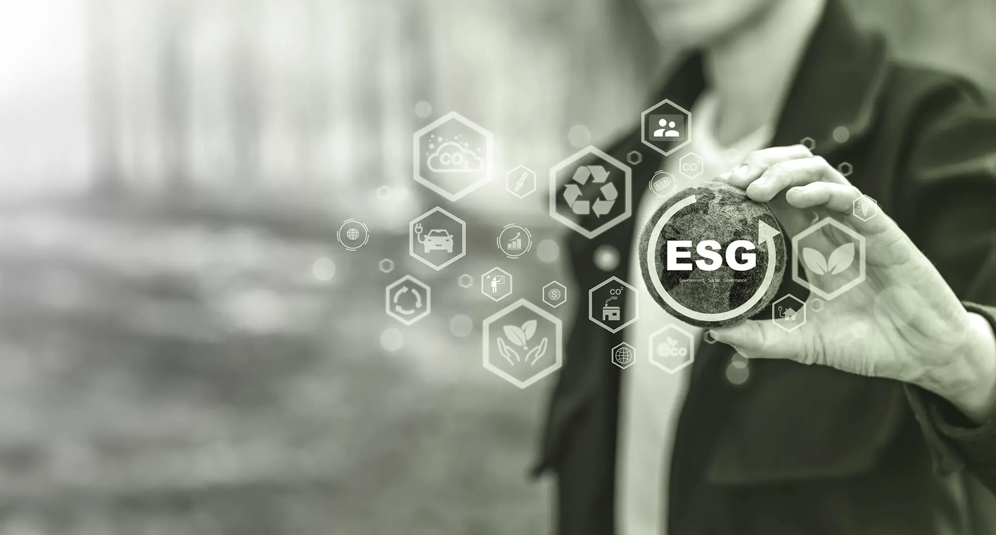Expert ESG and Sustainability Services in Dubai, UAE | AKMC